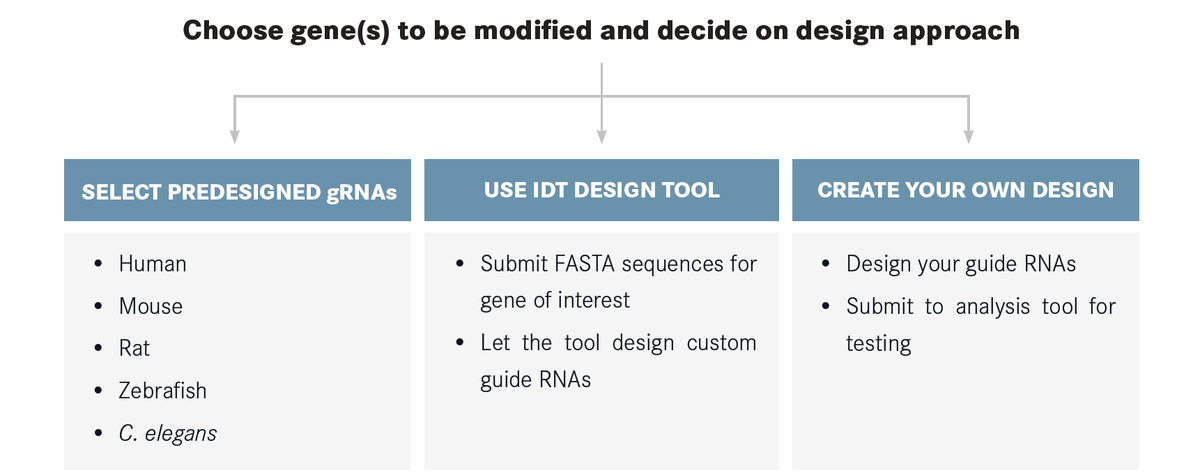 Alt-R CRISPR-Cas9: Genome editing with confidence!
