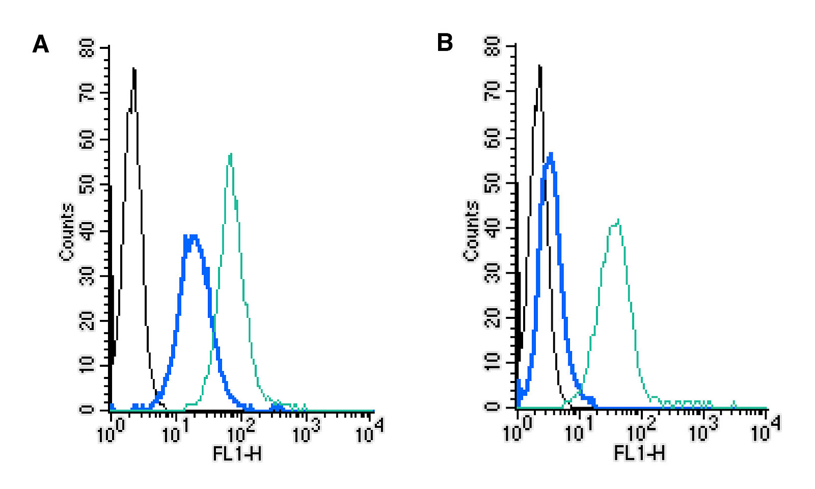 Isotype Controls - What is it and why use it? Find it out