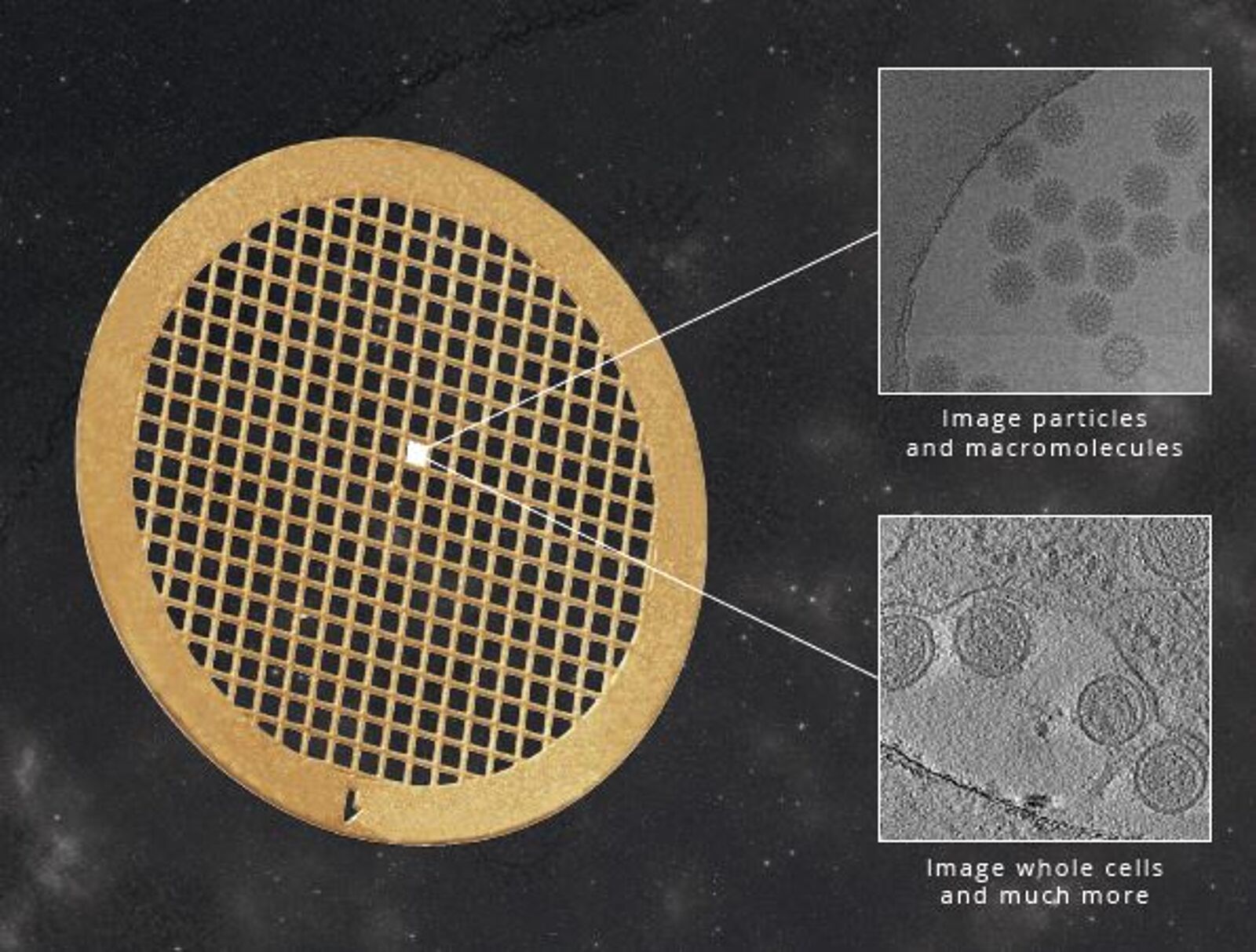 Protein crystallography - Structural biology tools