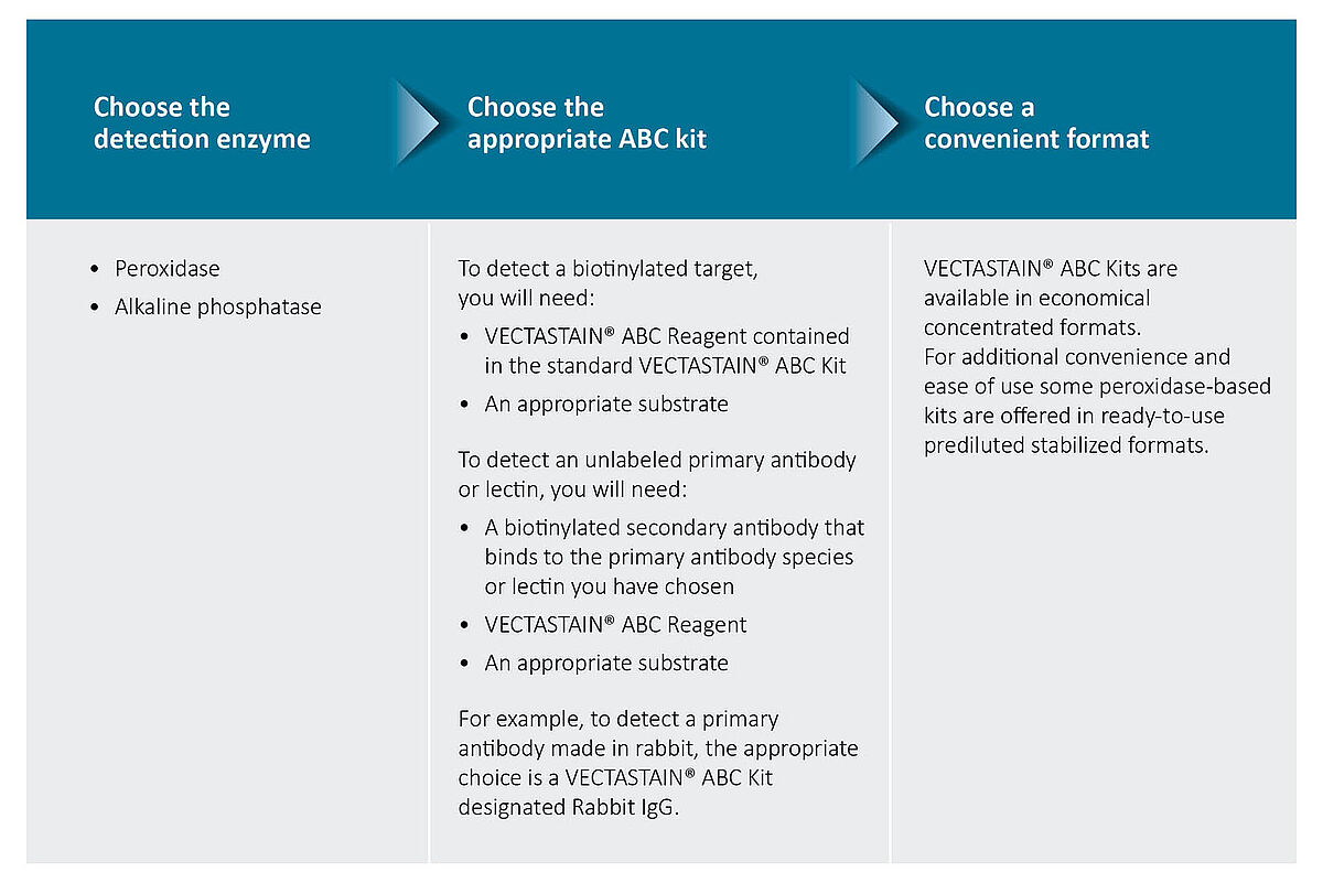 Vector Laboratories - Swiss distributor - LubioScience